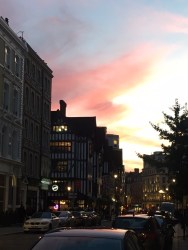 I was greeted by this enchanting sunset after work yesterday , so I ...