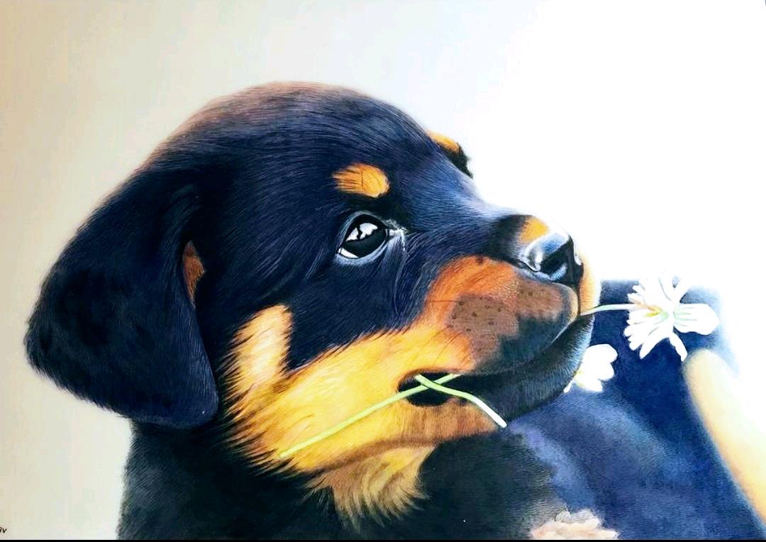 Question by May Swenson. Body my house my horse my hound what will I do ...