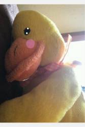 well well〜 im ducky warrior〜🌝 that's the first time that i share my pic ...