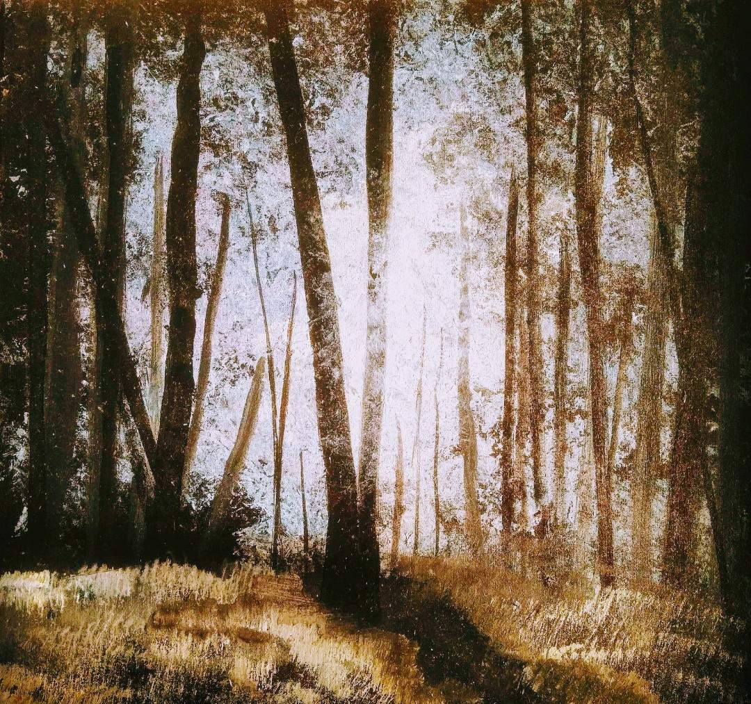 Die down, O dismal day by David Gray. DIE down, O dismal day, and let ...