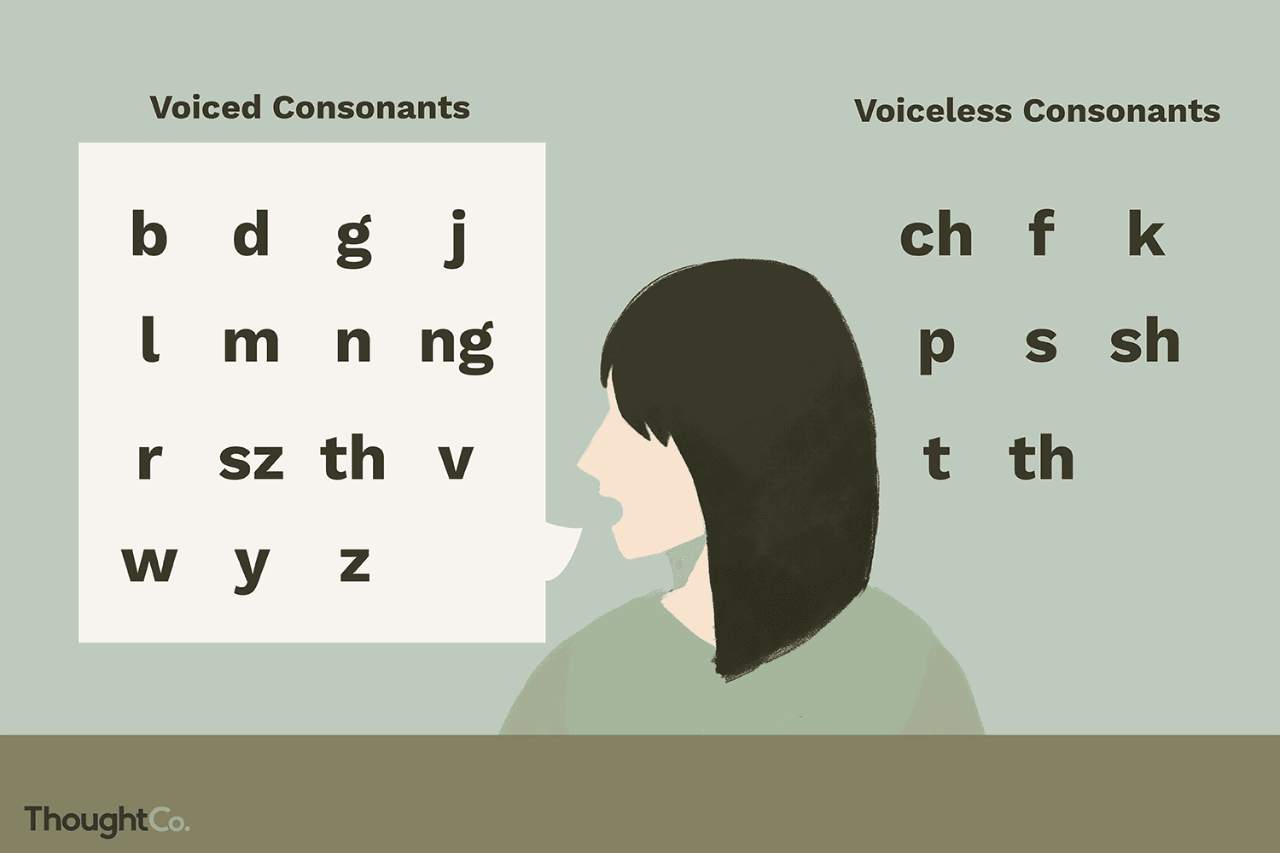 🇺🇸Cool English Pronunciation Basics🇬🇧 Do you know voiced and unvoiced ...
