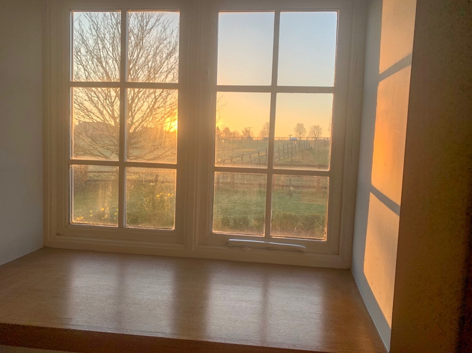 Morning walk The sun is out Dragging me Out of bed For a walk No need ...