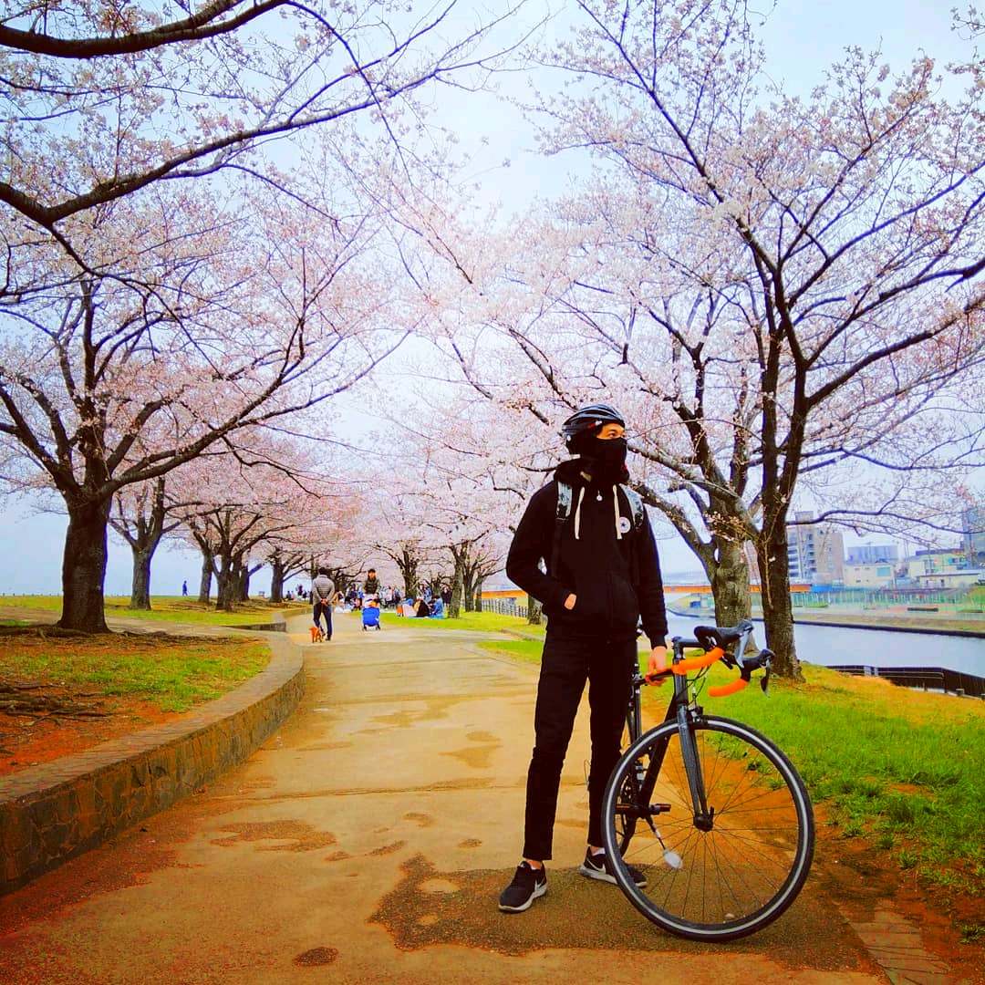 お久しぶり! What a nice day for cycling around and seeing the fully bloomed ...