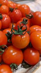 It has been a veeery long time since I posted anything here! And of ...