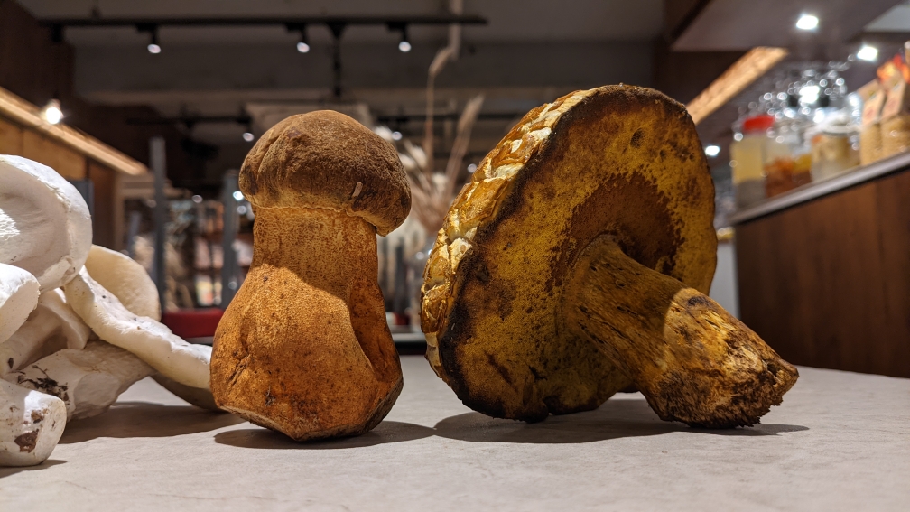 It's Autumn! So lots of delicious mushrooms, and even more delicious ...