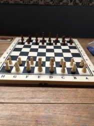 Does anyone play chess? Chess is a great discipline for your mind so ...