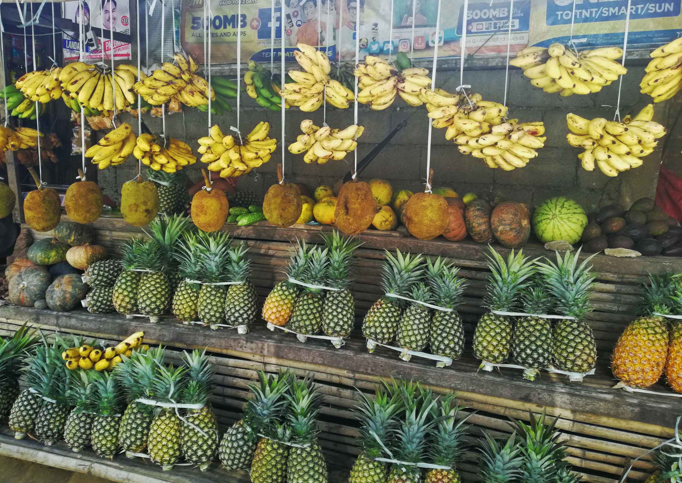 田舎から家に帰る途中で、フルーツの露天商人を通りすがりました。 お祖母さんがバナナを2房買いました。 フルーツは安いですから、母がパイナップル ...