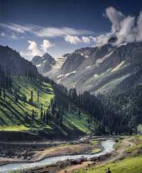 Hello beautiful world.😘🌸☀️🍀🌈 ️ "Life" is a ticket to the greatest show ...