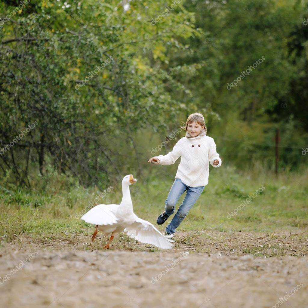 💬Wild goose chase Meaning: Chasing something that’s very difficult (or ...