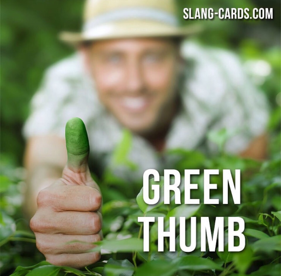 English Expressions ”Green thumb” Meaning: A special talent for ...