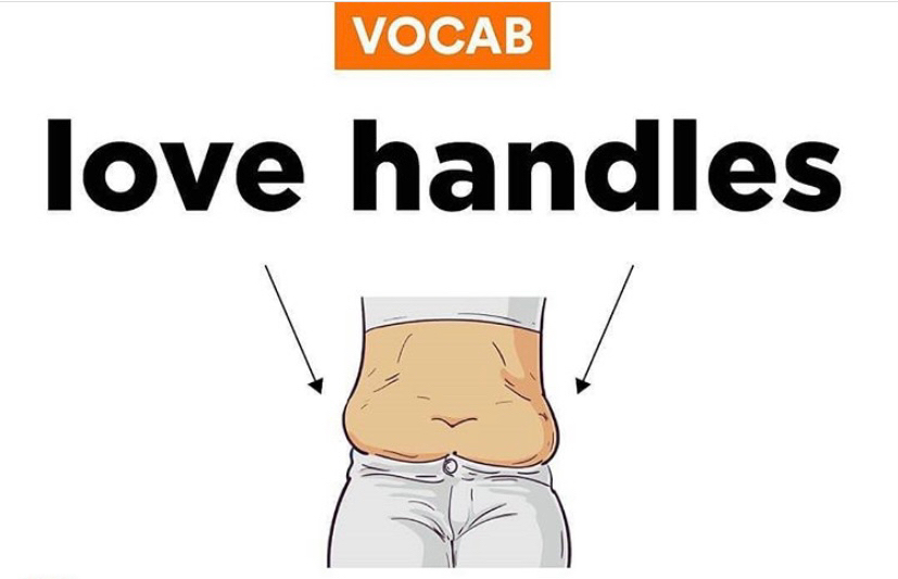 Common English Expression 👉Love handles Meaning: the layer of fat ...
