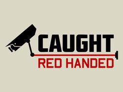 Idiom of the Day “Caught red handed” If you were “caught red handed ...
