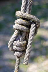 Idiom of the Day: Know the ropes (or learning the ropes) If you “know ...