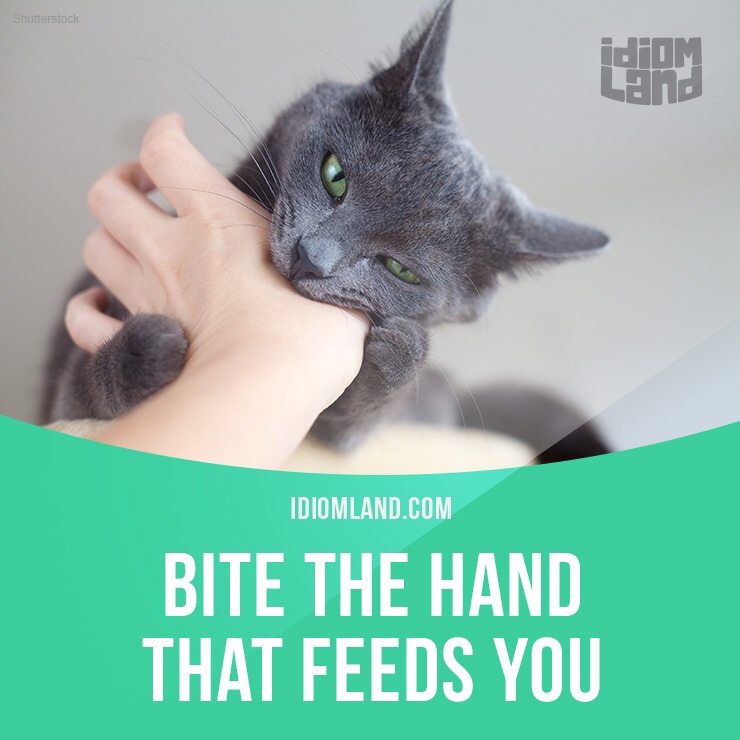 Idiom of the Day “Don’t bite the hand that feeds you” This idiom is a ...
